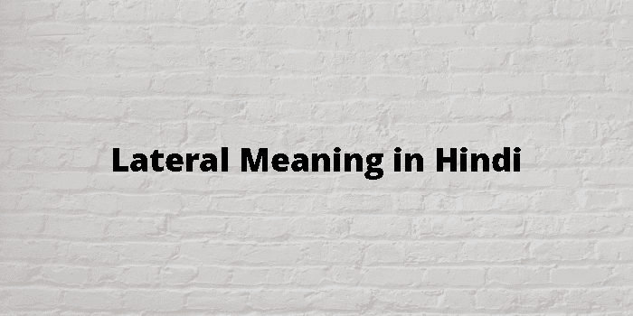 Lateral Meaning In Hindi - हिंदी अर्थ