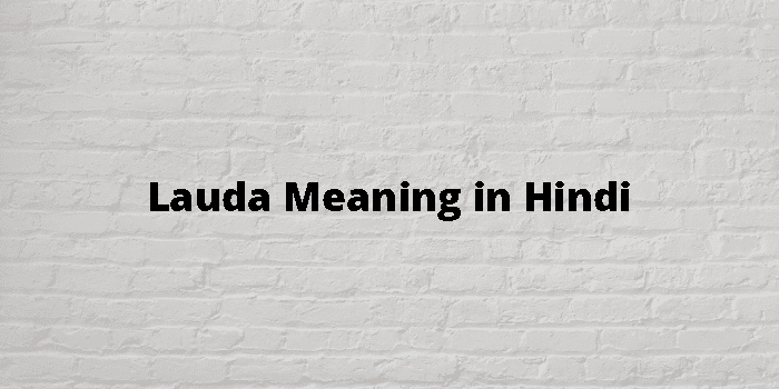 Lauda Meaning In Hindi - हिंदी अर्थ
