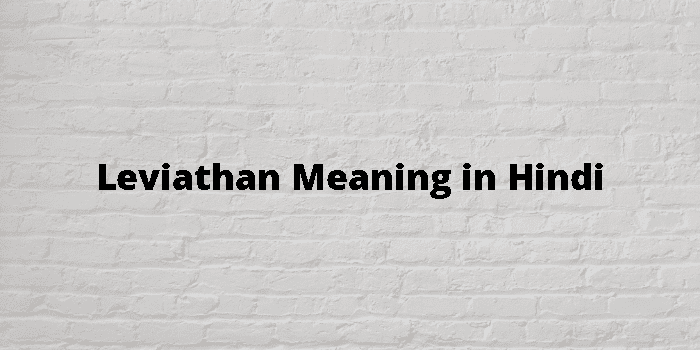Leviathan Meaning In Hindi - हिंदी अर्थ
