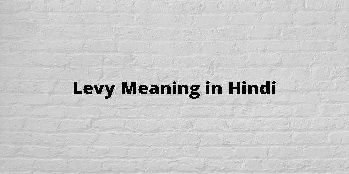 Levy Meaning In Hindi - हिंदी अर्थ