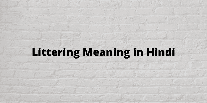 Littering Meaning In Hindi - हिंदी अर्थ
