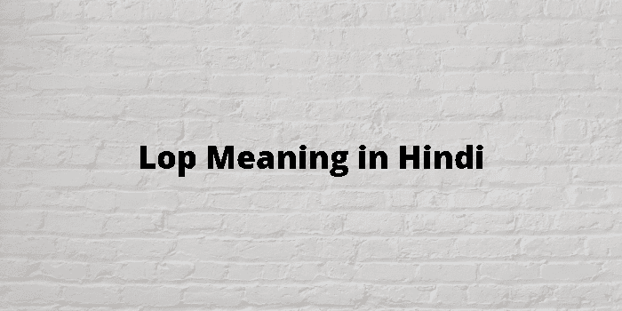 Lop Meaning In Hindi - हिंदी अर्थ
