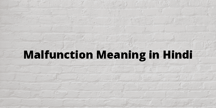 Malfunction Meaning In Hindi - हिंदी अर्थ
