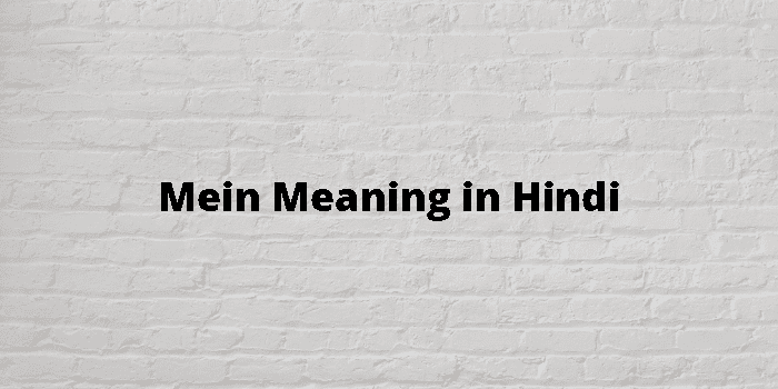 Mein Meaning In Hindi - हिंदी अर्थ