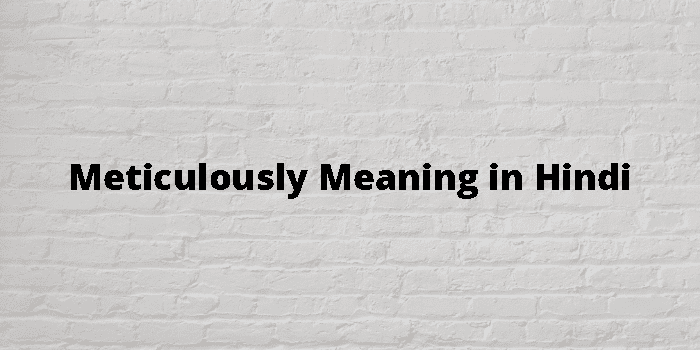Meticulously Meaning In Hindi - हिंदी अर्थ