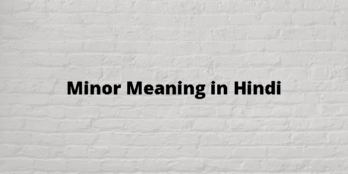 Minor Meaning In Hindi - हिंदी अर्थ