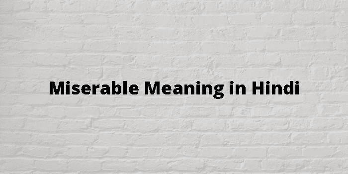Miserable Meaning In Hindi - हिंदी अर्थ
