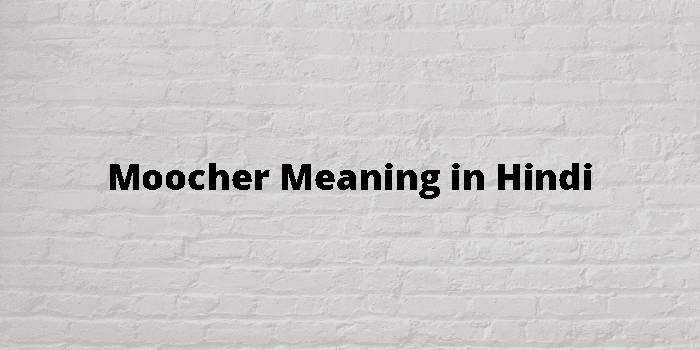 Moocher Meaning In Hindi - हिंदी अर्थ