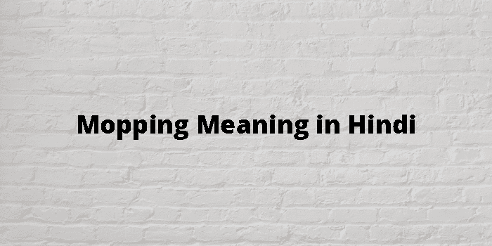Mopping Meaning In Hindi - हिंदी अर्थ