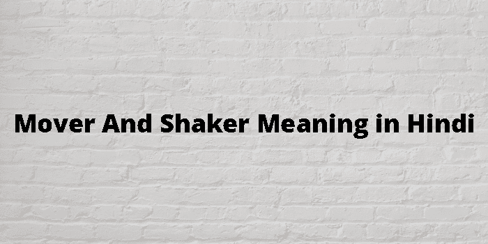Mover And Shaker Meaning In Hindi - हिंदी अर्थ