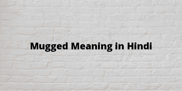 Mugged Meaning In Hindi - हिंदी अर्थ