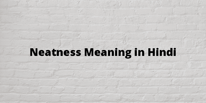 Neatness Meaning In Hindi - हिंदी अर्थ
