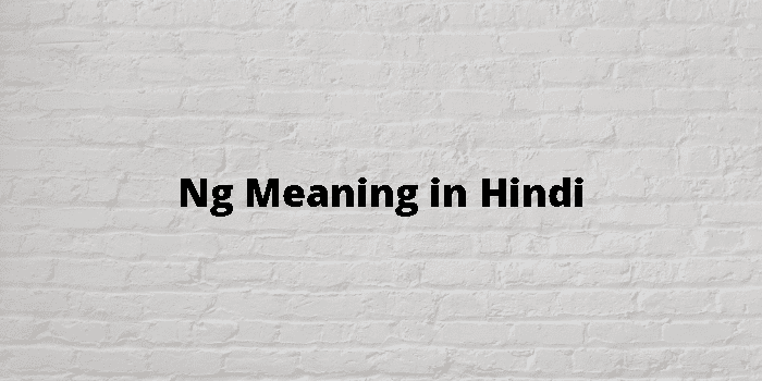 Ng Meaning In Hindi - हिंदी अर्थ