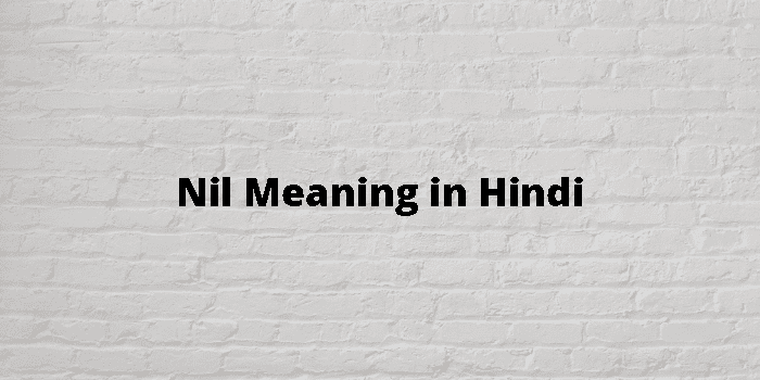 Nil Meaning In Hindi - हिंदी अर्थ
