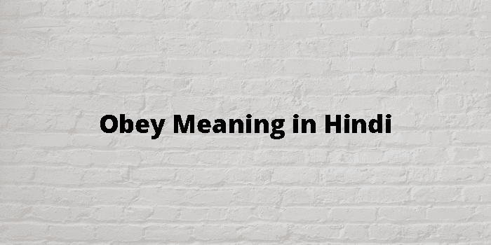 Obey Meaning In Hindi - हिंदी अर्थ