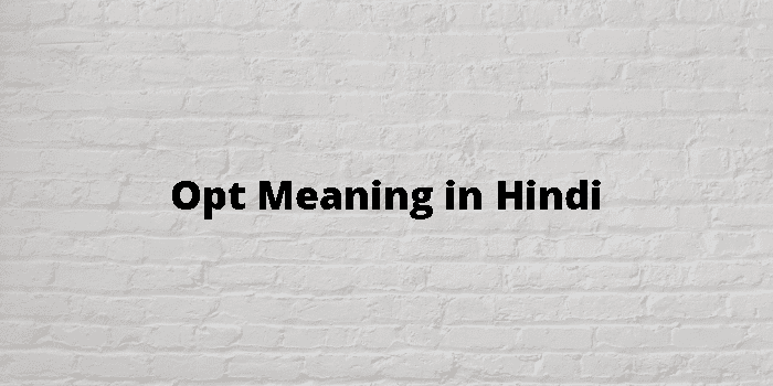 Opt Meaning In Hindi - हिंदी अर्थ