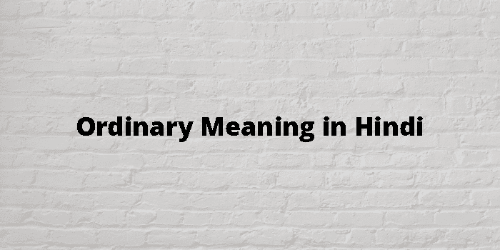 Ordinary Meaning In Hindi - हिंदी अर्थ