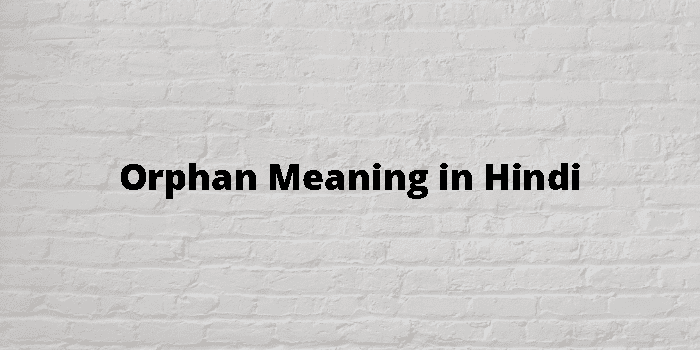 Orphan Meaning In Hindi - हिंदी अर्थ