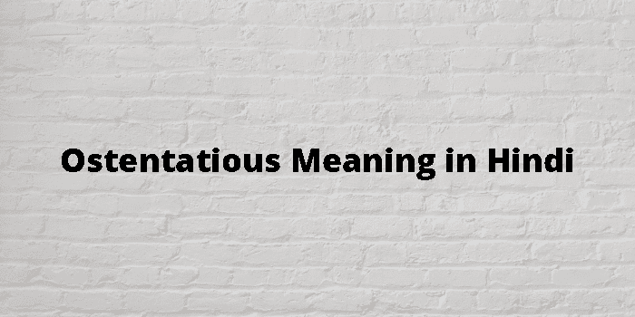 Ostentatious Meaning In Hindi - हिंदी अर्थ
