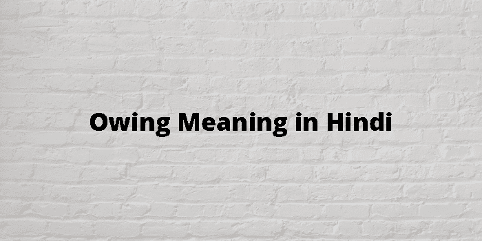 Owing Meaning In Hindi - हिंदी अर्थ