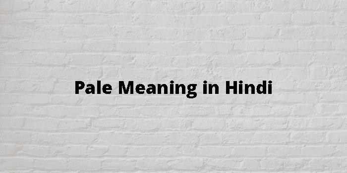 Pale Meaning In Hindi - हिंदी अर्थ