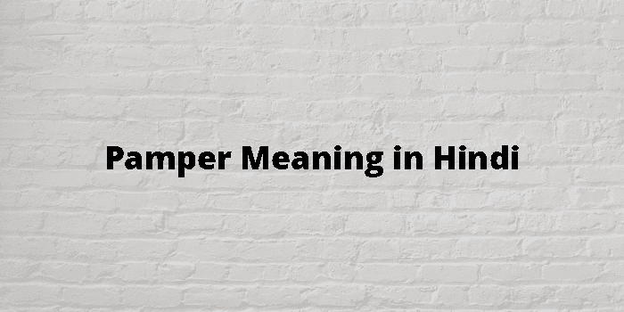 Pamper Meaning In Hindi - हिंदी अर्थ