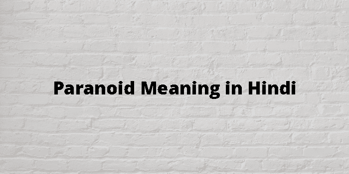 Paranoid Meaning In Hindi - हिंदी अर्थ