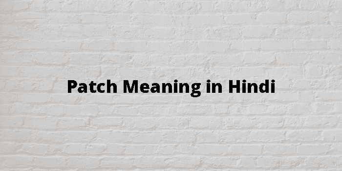 Patch Meaning In Hindi - हिंदी अर्थ