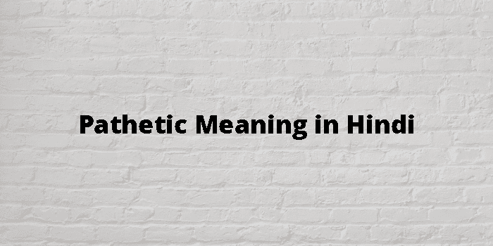 Pathetic Meaning In Hindi - हिंदी अर्थ