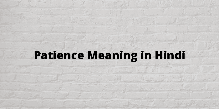 Patience Meaning In Hindi - हिंदी अर्थ
