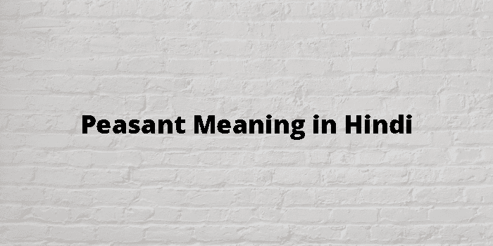 Peasant Meaning In Hindi - हिंदी अर्थ