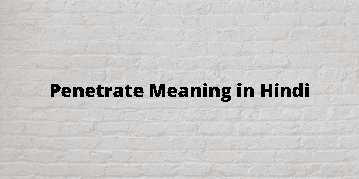 Penetrate Meaning In Hindi - हिंदी अर्थ