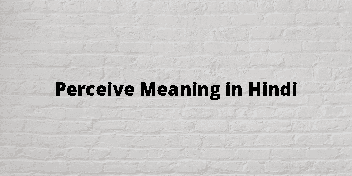 Perceive Meaning In Hindi - हिंदी अर्थ