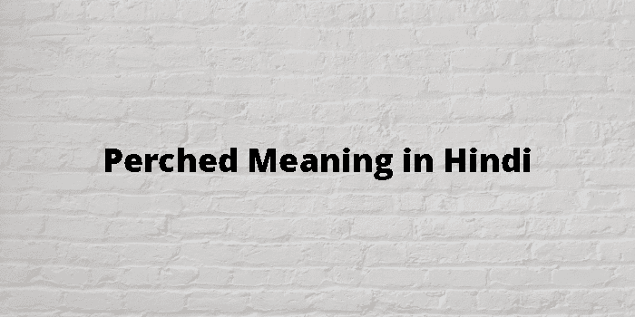 Perched Meaning In Hindi - हिंदी अर्थ