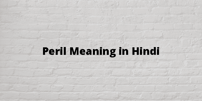 Peril Meaning In Hindi - हिंदी अर्थ