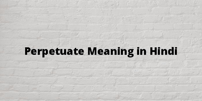 Perpetuate Meaning In Hindi - हिंदी अर्थ