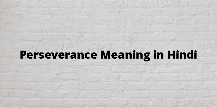 Perseverance Meaning In Hindi - हिंदी अर्थ