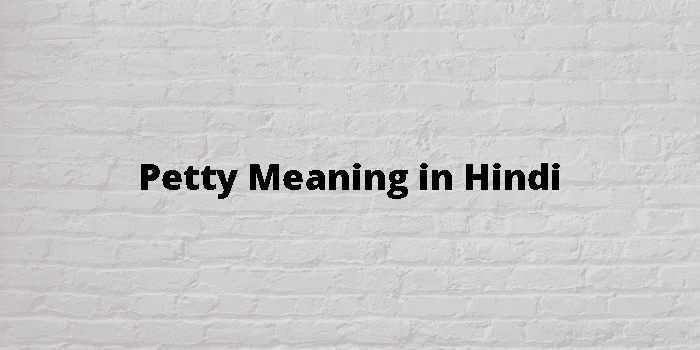 Petty Meaning In Hindi - हिंदी अर्थ