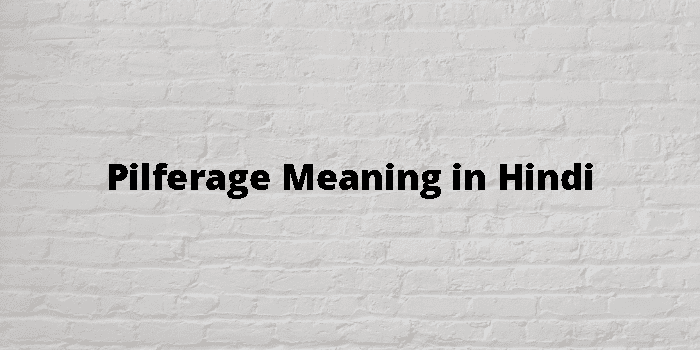 Pilferage Meaning In Hindi - हिंदी अर्थ