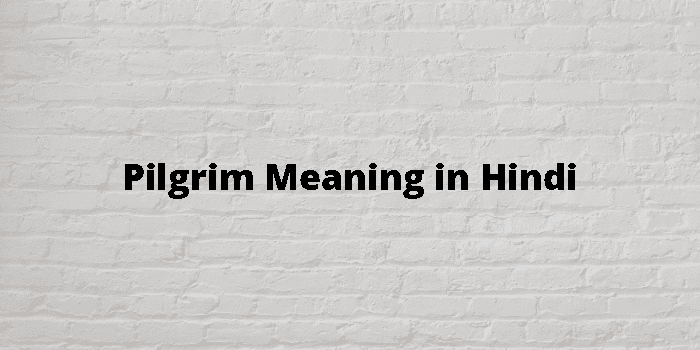 Pilgrim Meaning In Hindi - हिंदी अर्थ
