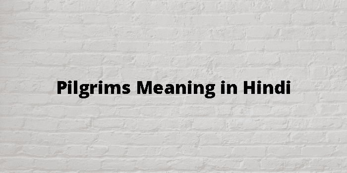Pilgrims Meaning In Hindi - हिंदी अर्थ