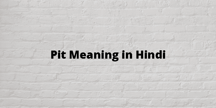 Pit Meaning In Hindi - हिंदी अर्थ