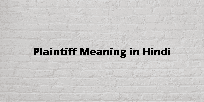 Plaintiff Meaning In Hindi - हिंदी अर्थ