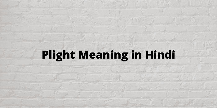 Plight Meaning In Hindi - हिंदी अर्थ