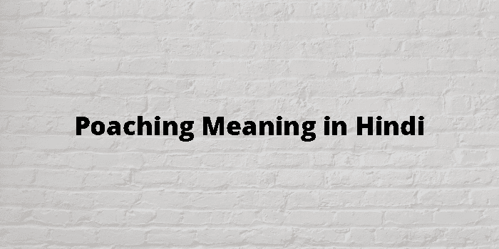 Poaching Meaning In Hindi - हिंदी अर्थ