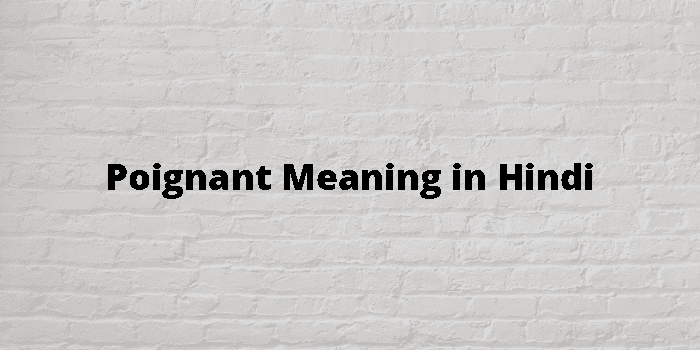 Poignant Meaning In Hindi - हिंदी अर्थ