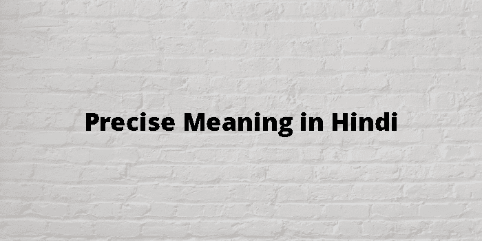Precise Meaning In Hindi - हिंदी अर्थ
