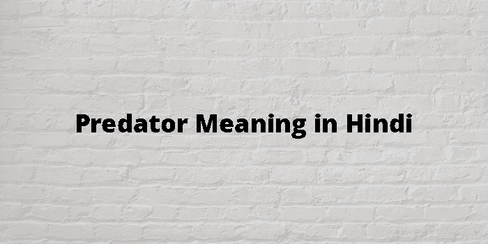 Predator Meaning In Hindi - हिंदी अर्थ