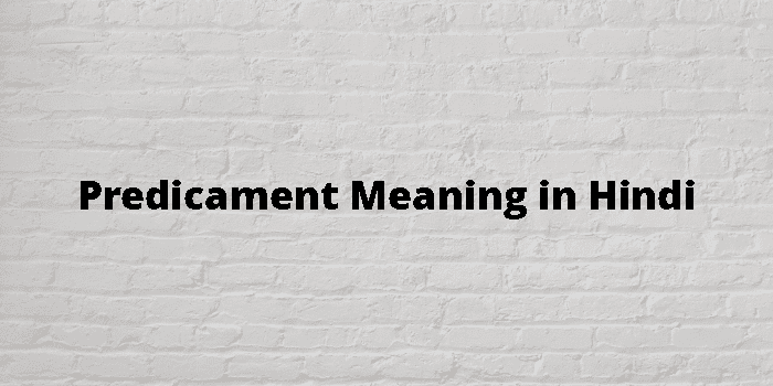 Predicament Meaning In Hindi - हिंदी अर्थ