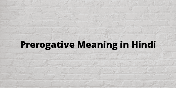 Prerogative Meaning In Hindi - हिंदी अर्थ